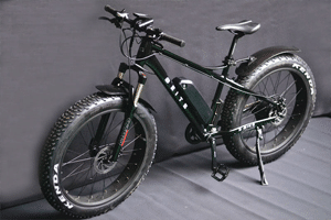 Grizzly - E-VéLO Electric Bicycles Metro Manila E-bike For Everyone